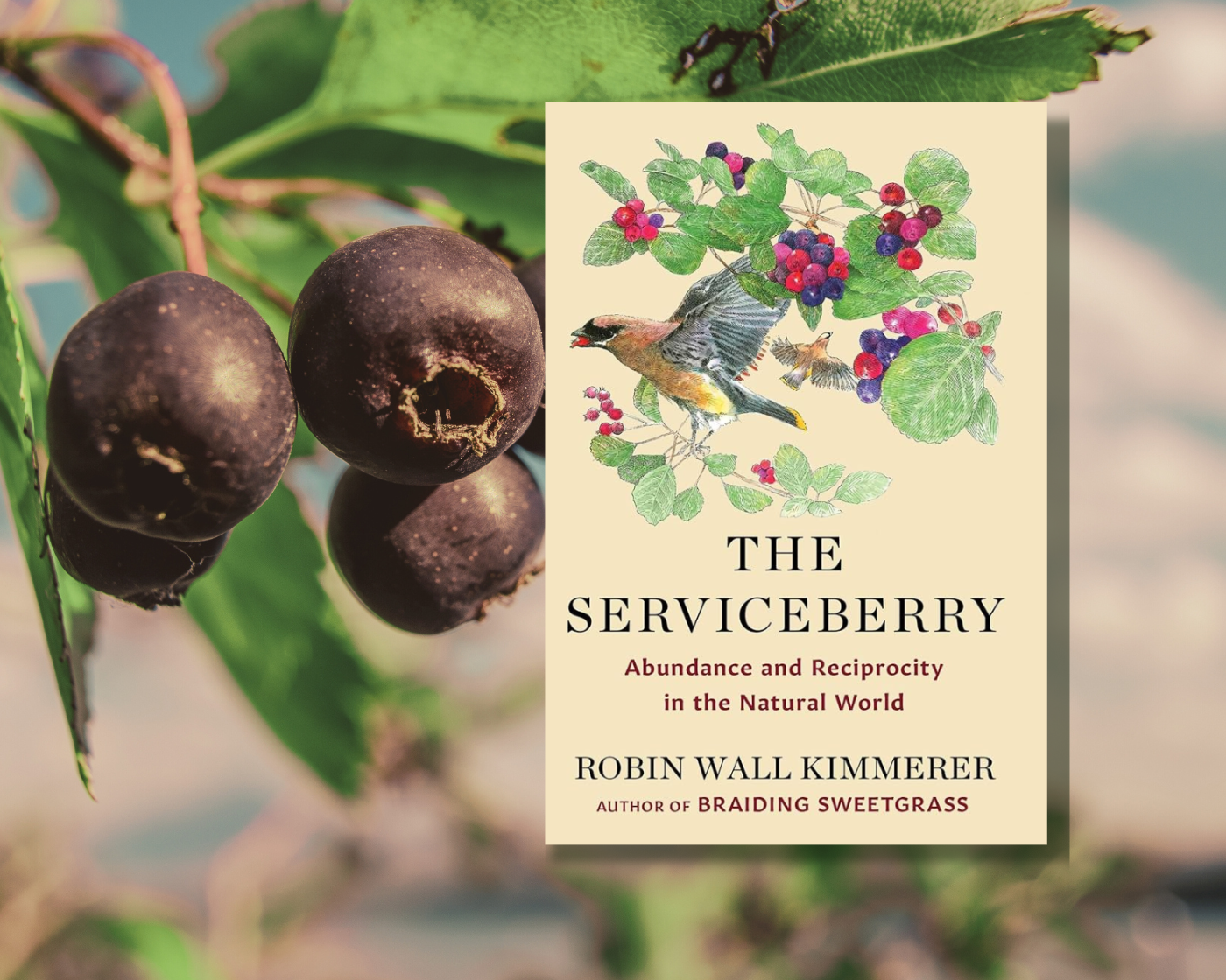 Annotating the Darren Allegory in The Serviceberry by Robin Wall ...